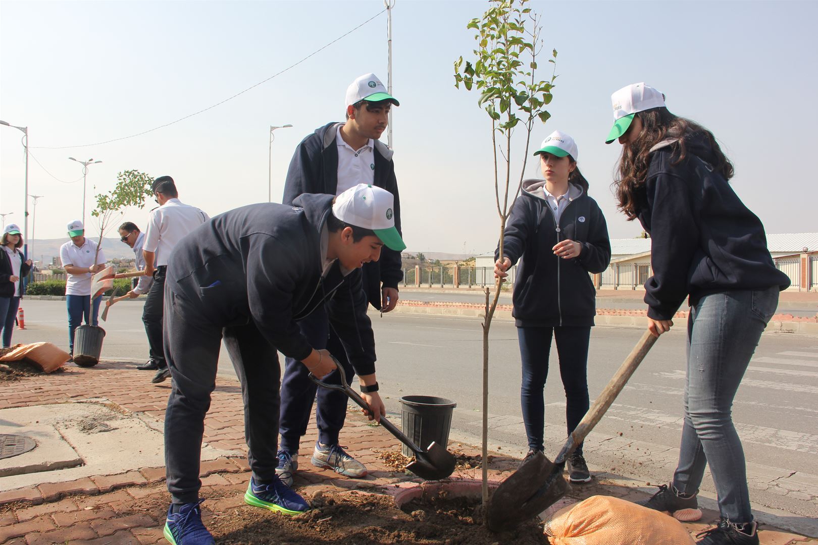 Root for Trees - The International School of Choueifat – Sulaimani