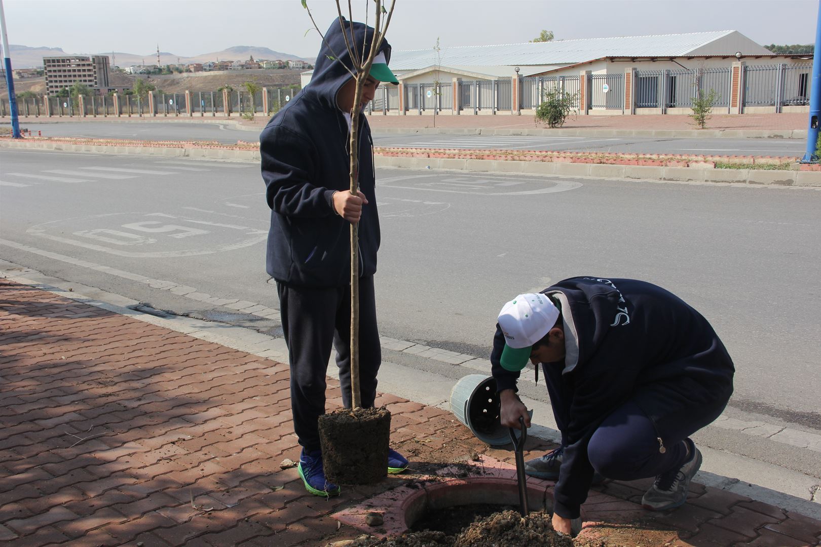 Root for Trees - The International School of Choueifat – Sulaimani