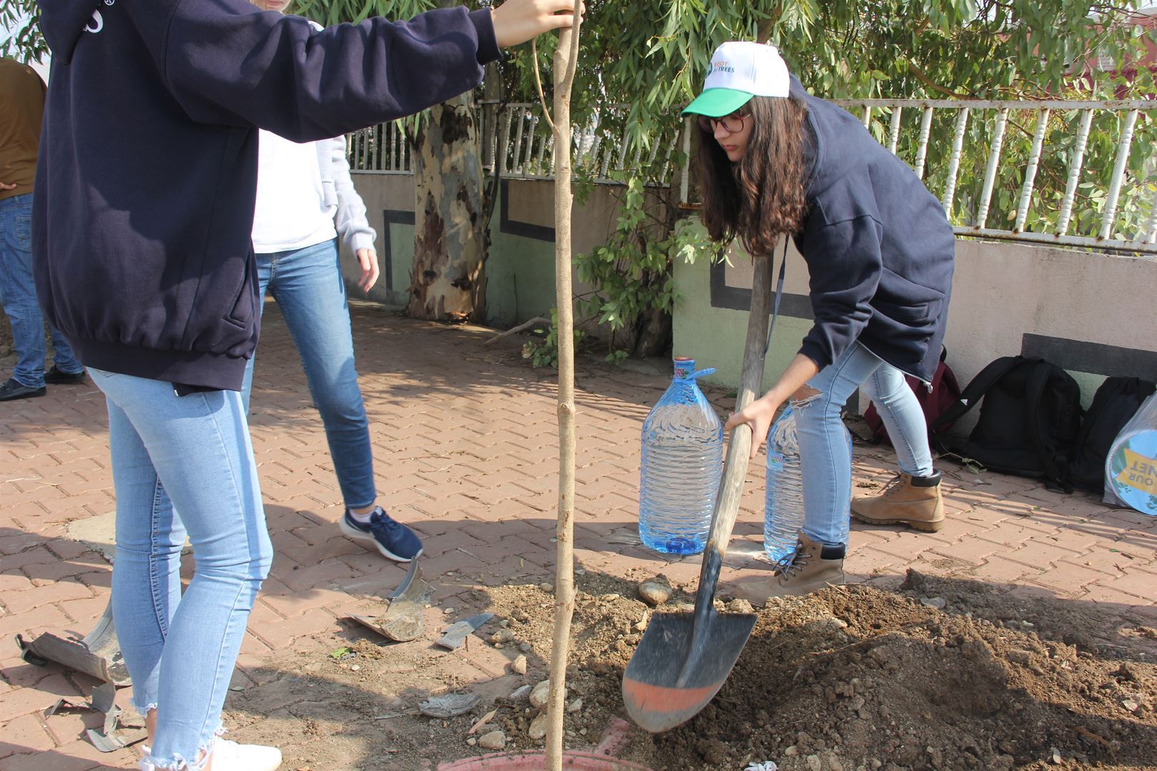 Root for Trees - The International School of Choueifat – Sulaimani