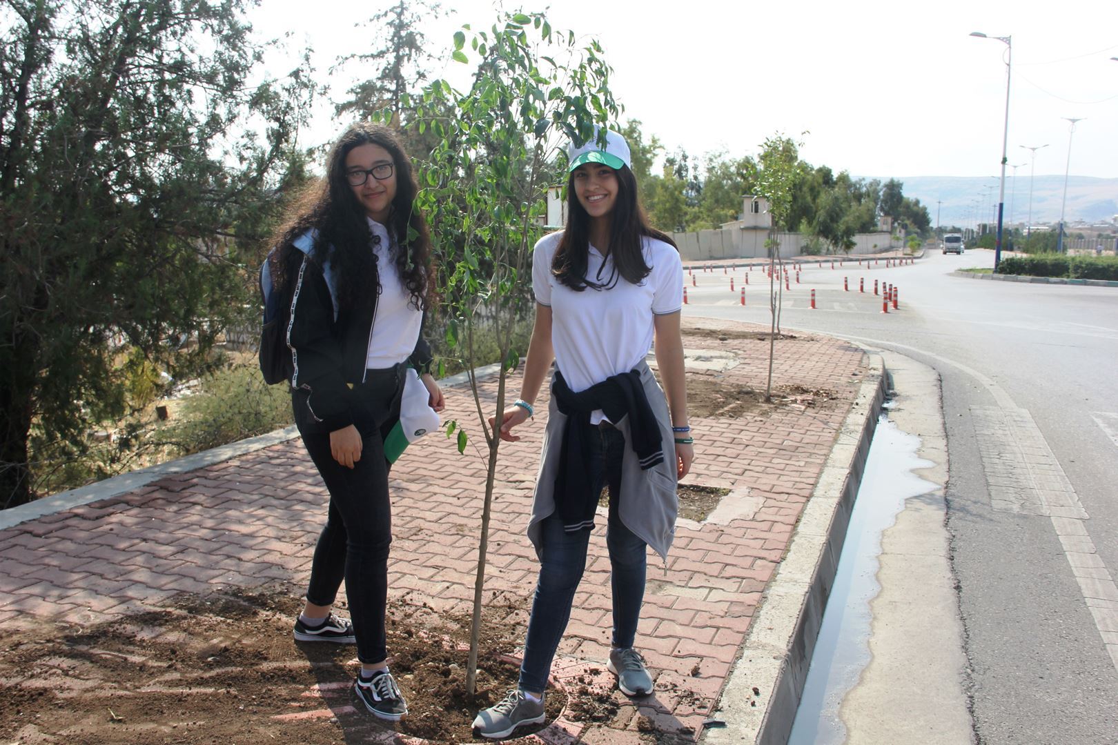 Root for Trees - The International School of Choueifat – Sulaimani