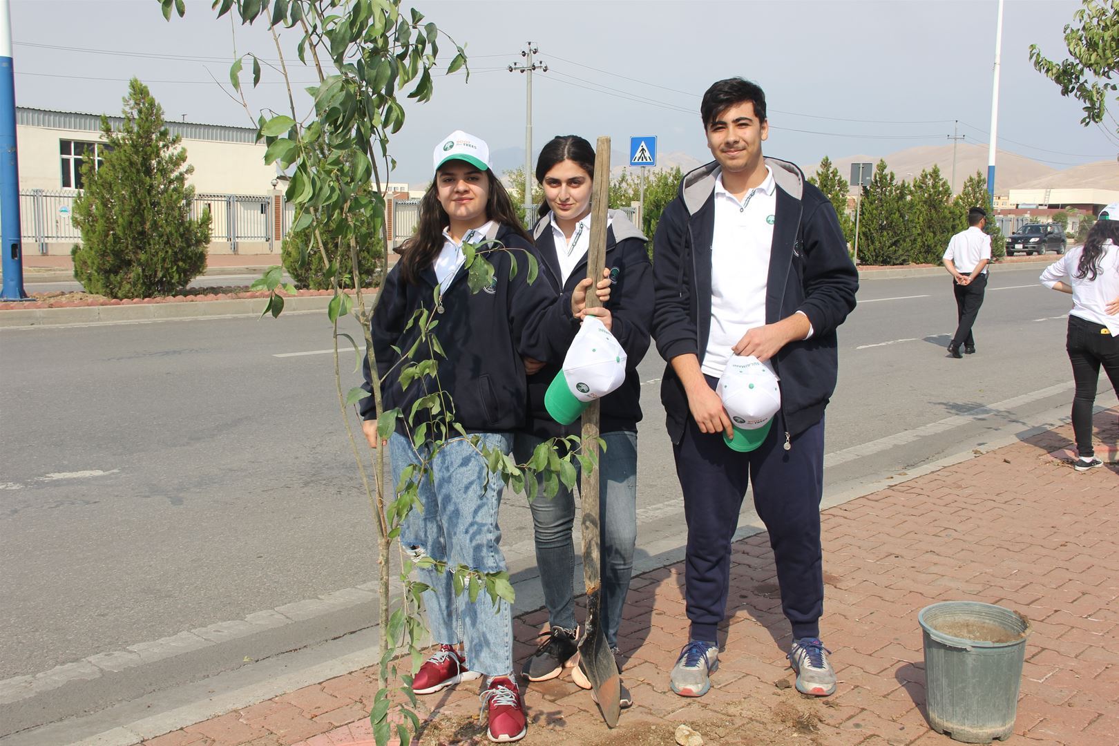 Root for Trees - The International School of Choueifat – Sulaimani